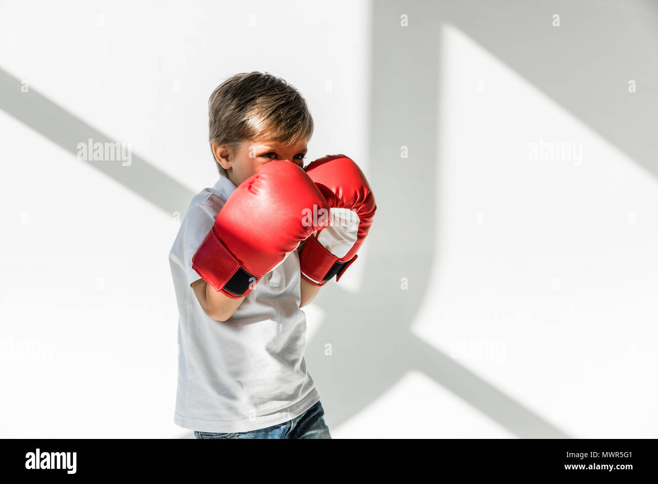 cute little boy in boxing gloves boxing on white Stock Photo - Alamy