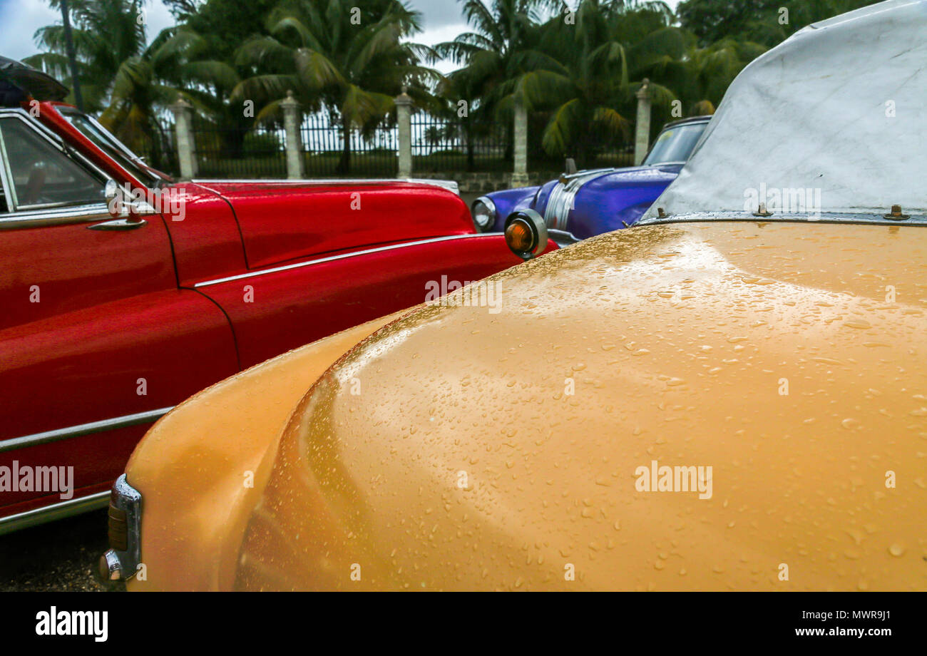 It only rained for a moment which created the best raindrop patterns on ...