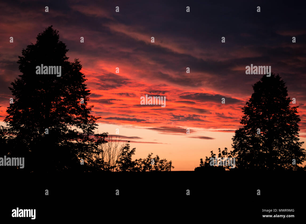 Fiery sunset with tree silhouettes Stock Photo - Alamy