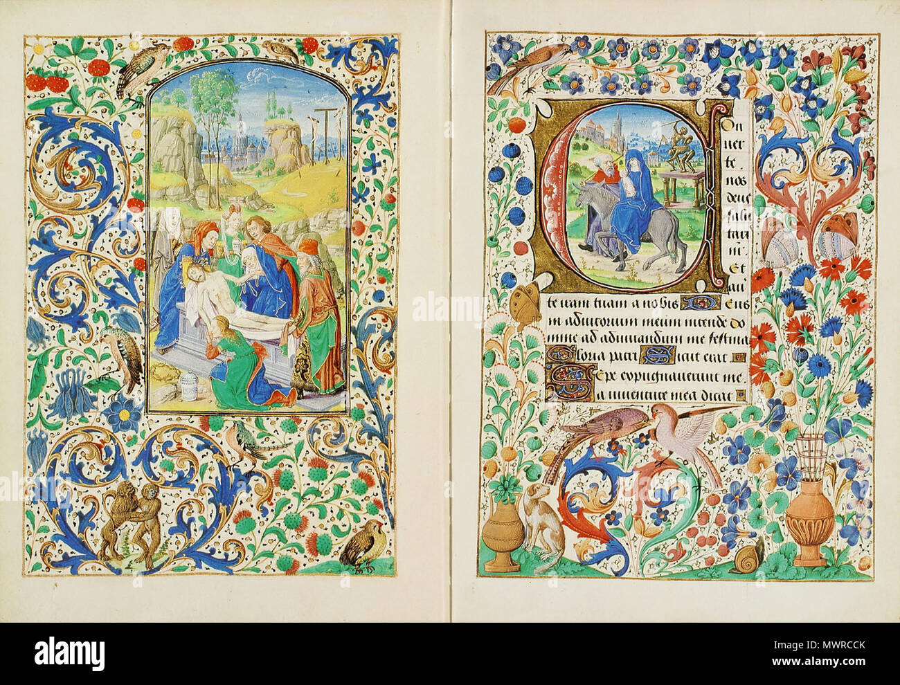 Codex vindobonensis hi-res stock photography and images - Alamy