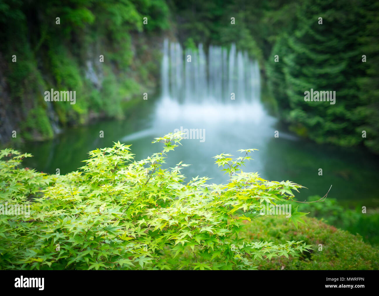 British Columbia Butchart Gardens Ross High Resolution Stock ...