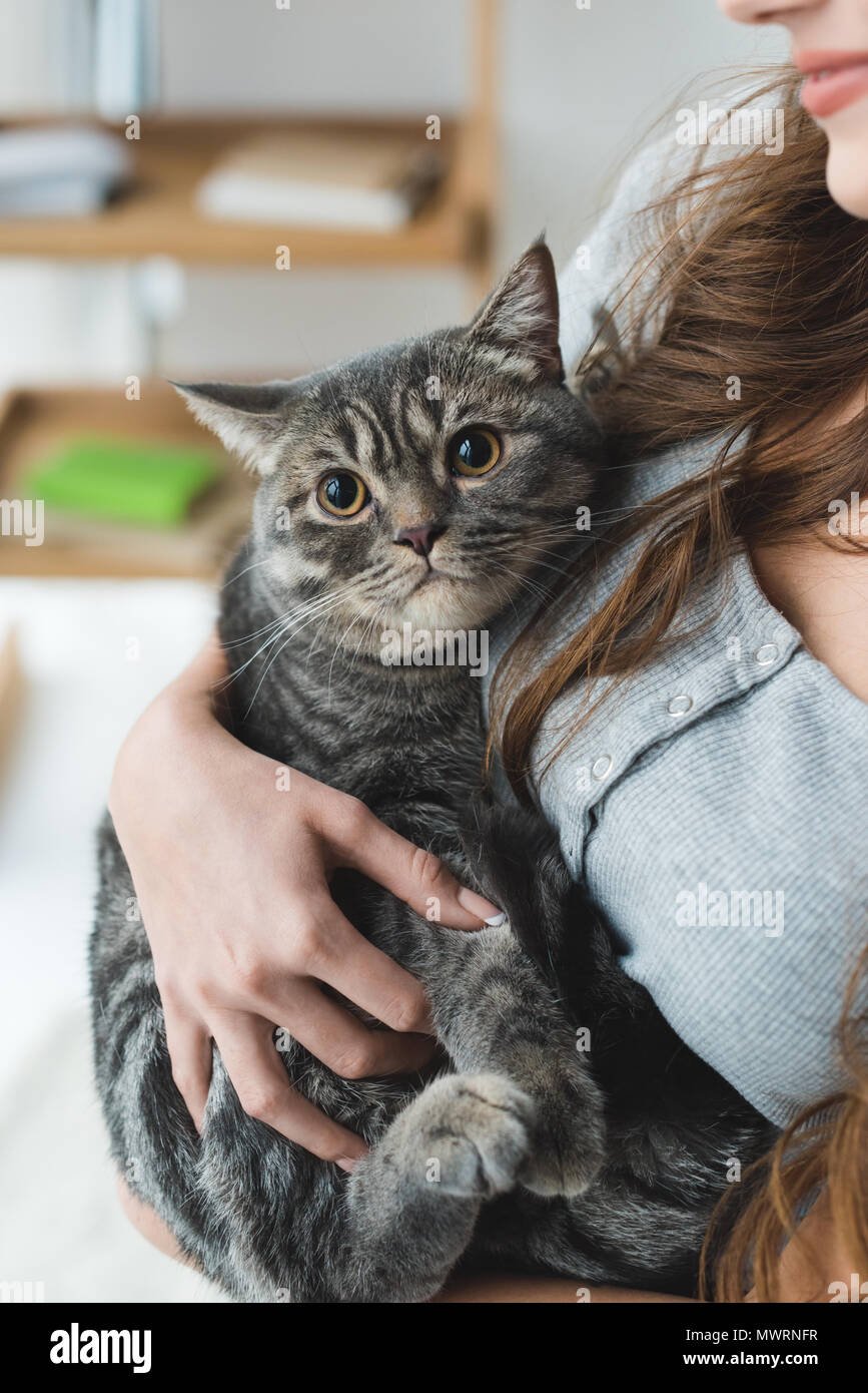 Cat in hands hi-res stock photography and images - Alamy