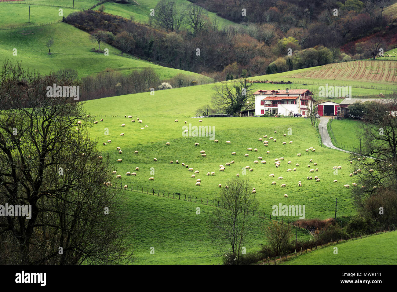 Basque farm house in rolling green hills Stock Photo - Alamy