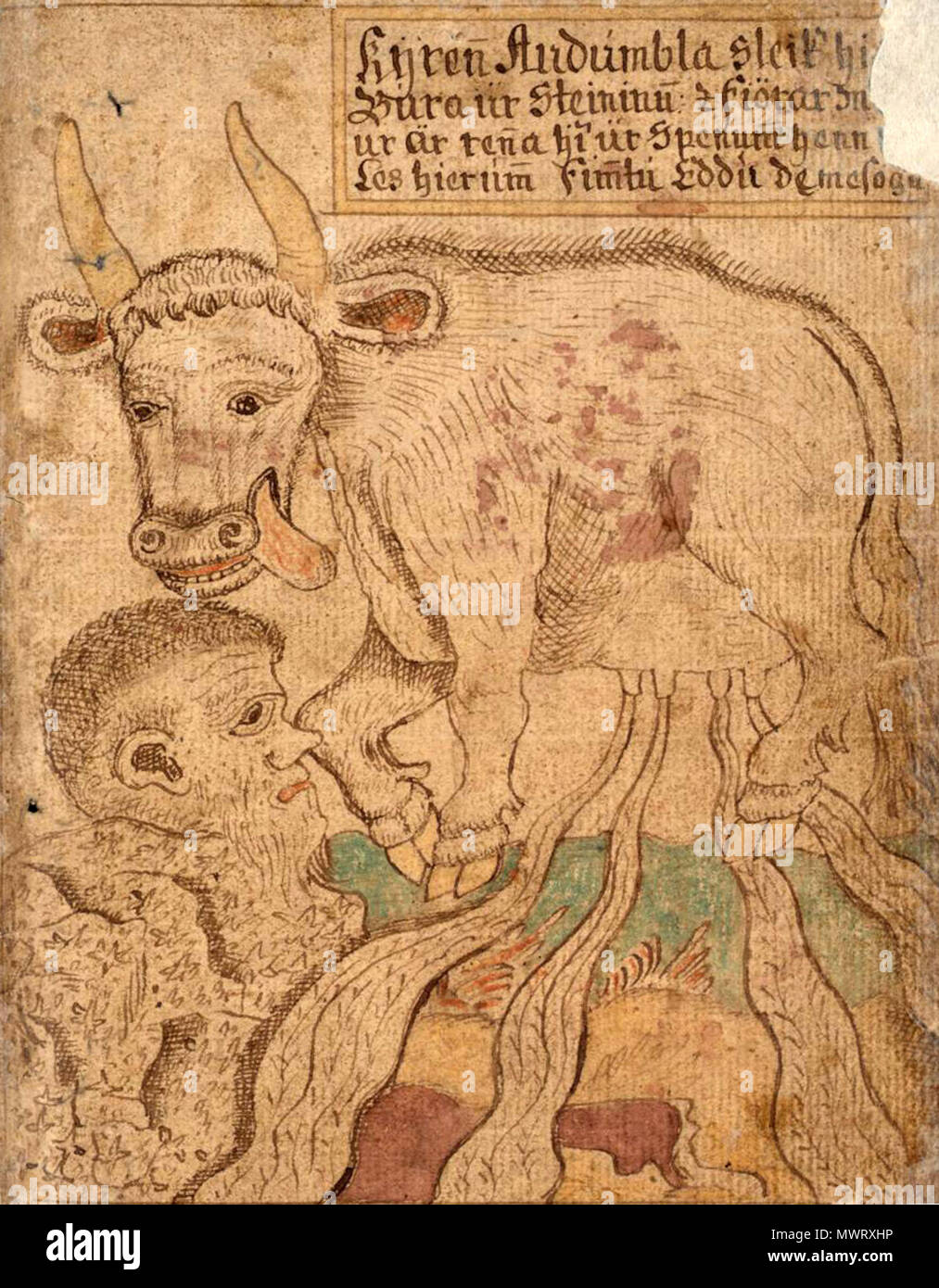 Audumbla hi-res stock photography and images - Alamy