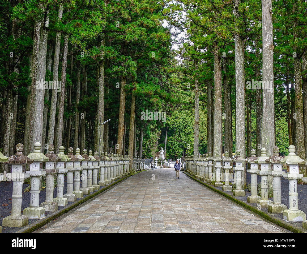 Wakayama, Japan - Nov 24, 2016. Road to the Okunoin Cemetery on Mt ...
