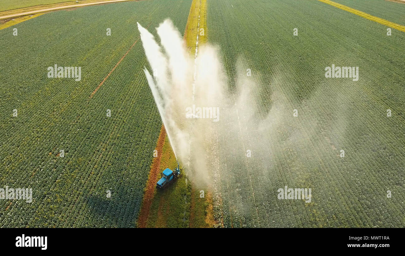 Irrigation system cabbage hi-res stock photography and images - Alamy