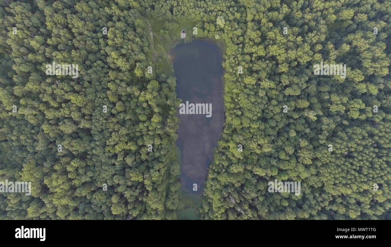 Aerial view.Green tree aerial view of forest Stock Photo - Alamy