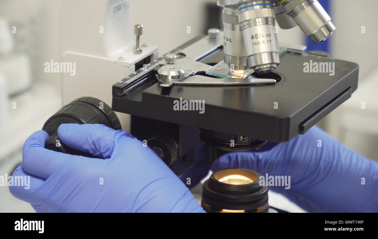 Doctor woman working with a microscope in Laboratory. Female scientist ...