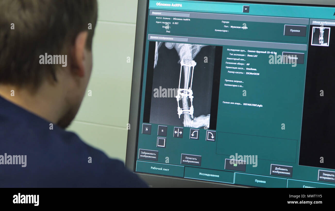 Doctor examine pet scan hi-res stock photography and images - Alamy