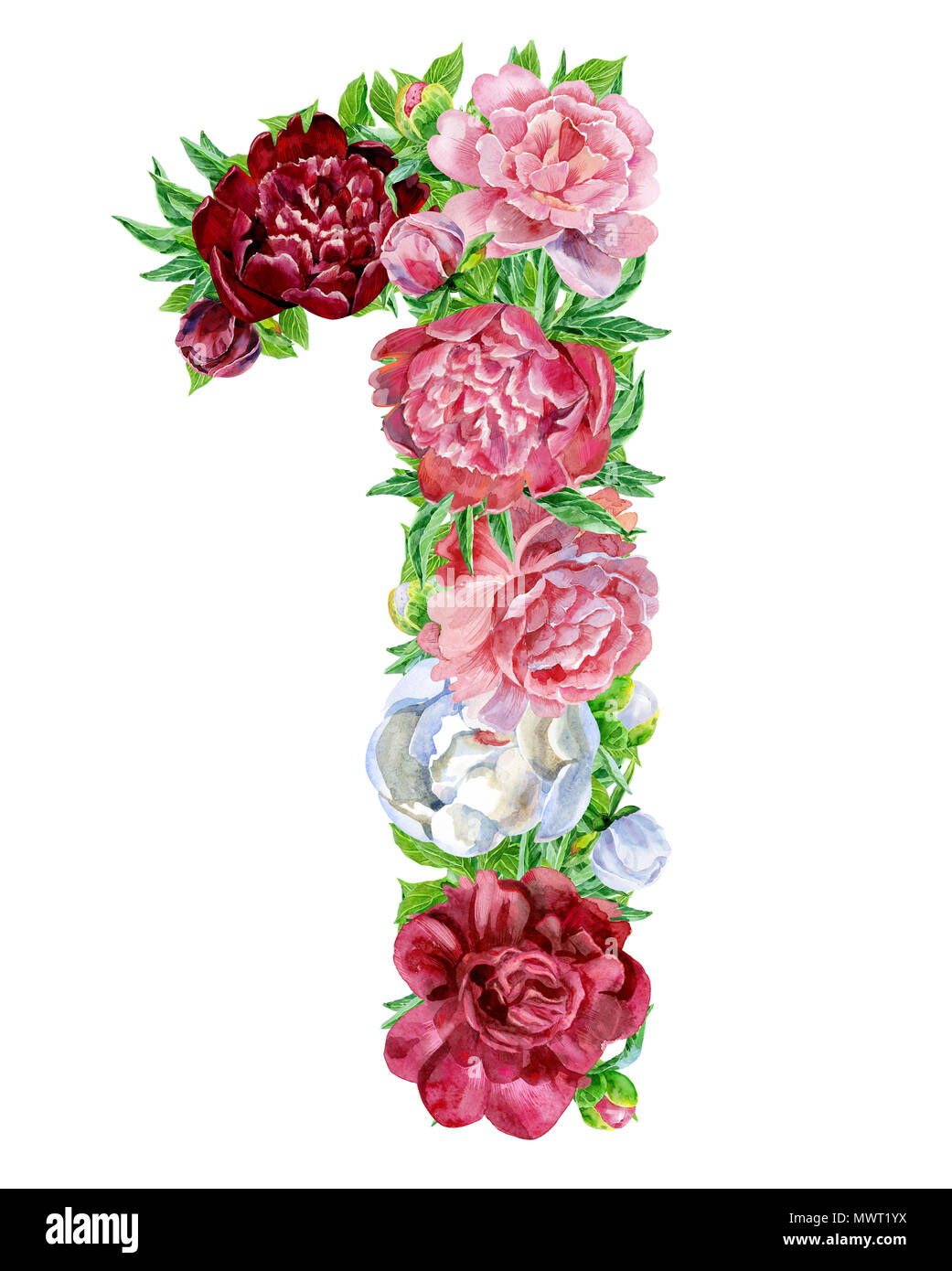 Number one of watercolor flowers, isolated hand drawn on a white ...