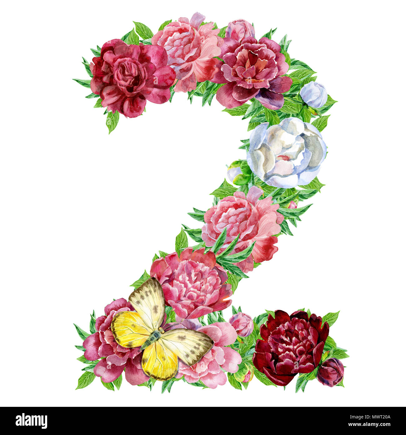 Number two of watercolor flowers, isolated hand drawn on a white ...