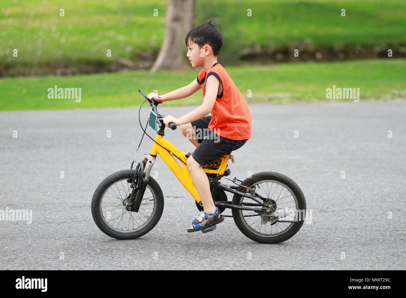 Asian boy riding bicycle in the park Stock Photo - Alamy