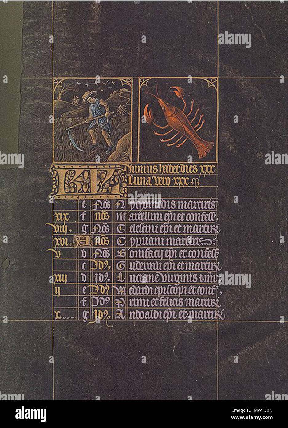 Medieval calendar manuscript june hi-res stock photography and images ...