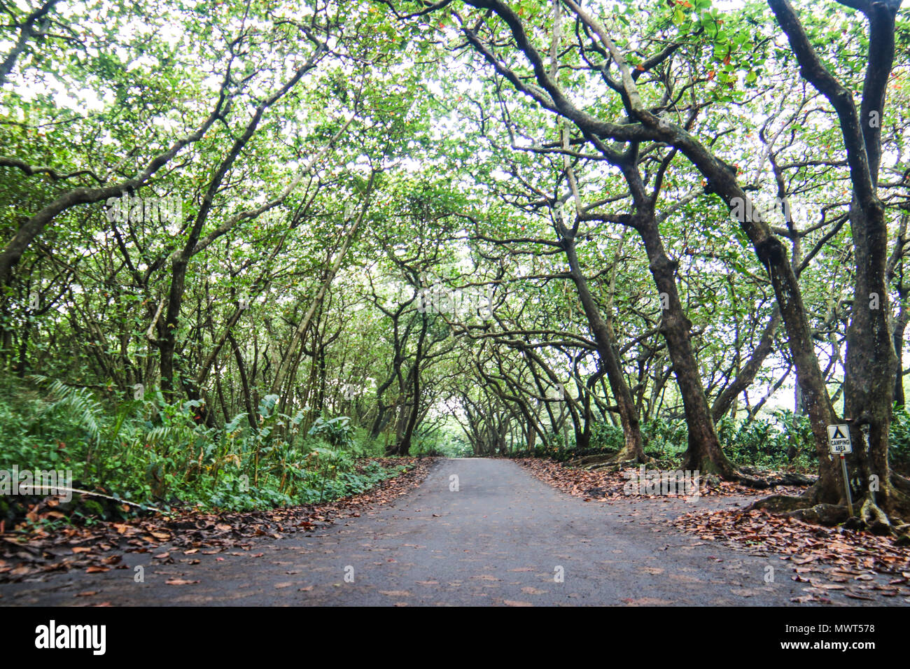 Hana bay beach park hi-res stock photography and images - Alamy