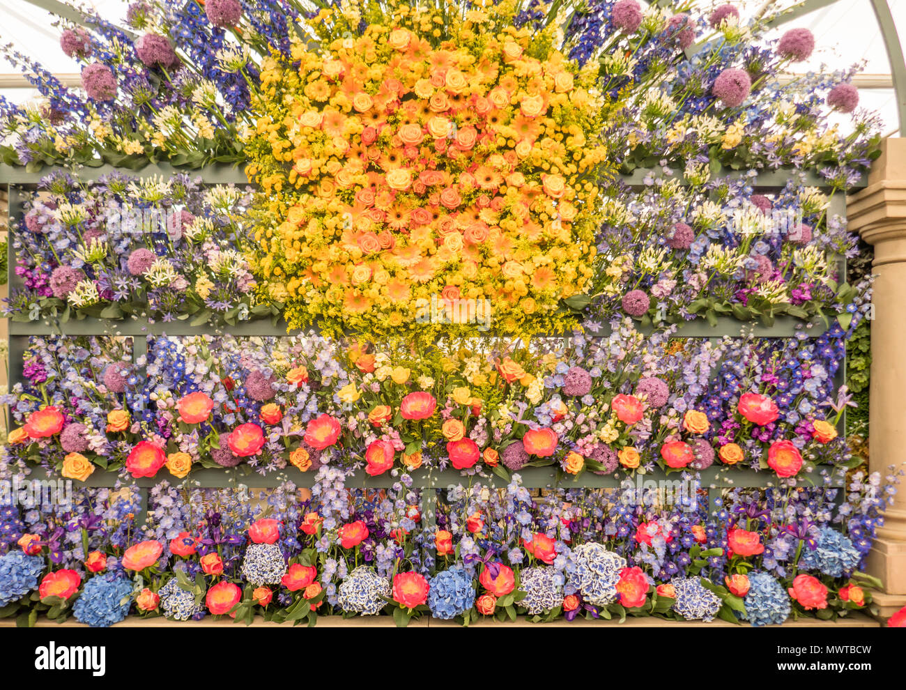 Bright display hi-res stock photography and images - Alamy