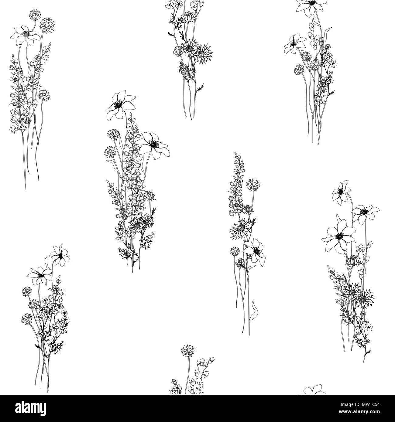 Vector flowers herbs in Black and White Stock Photos & Images - Alamy