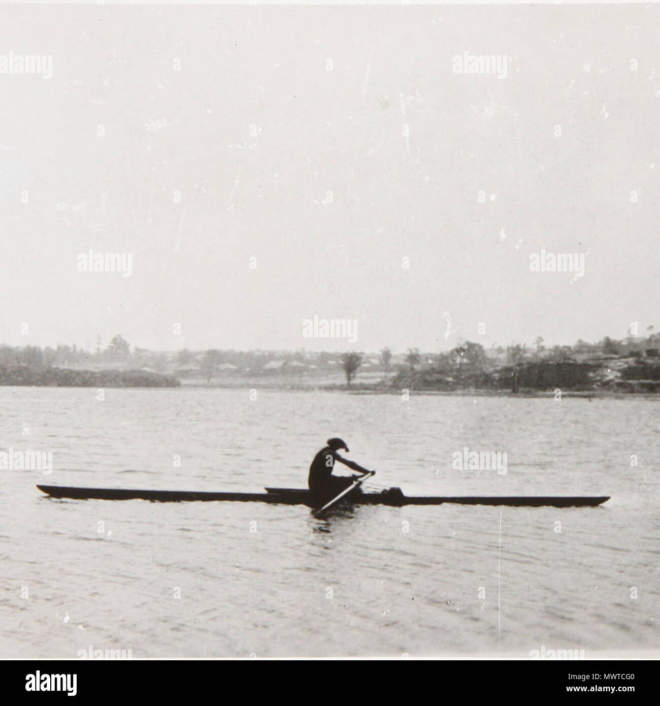 Woman rowing single scull oars hi-res stock photography and images - Alamy