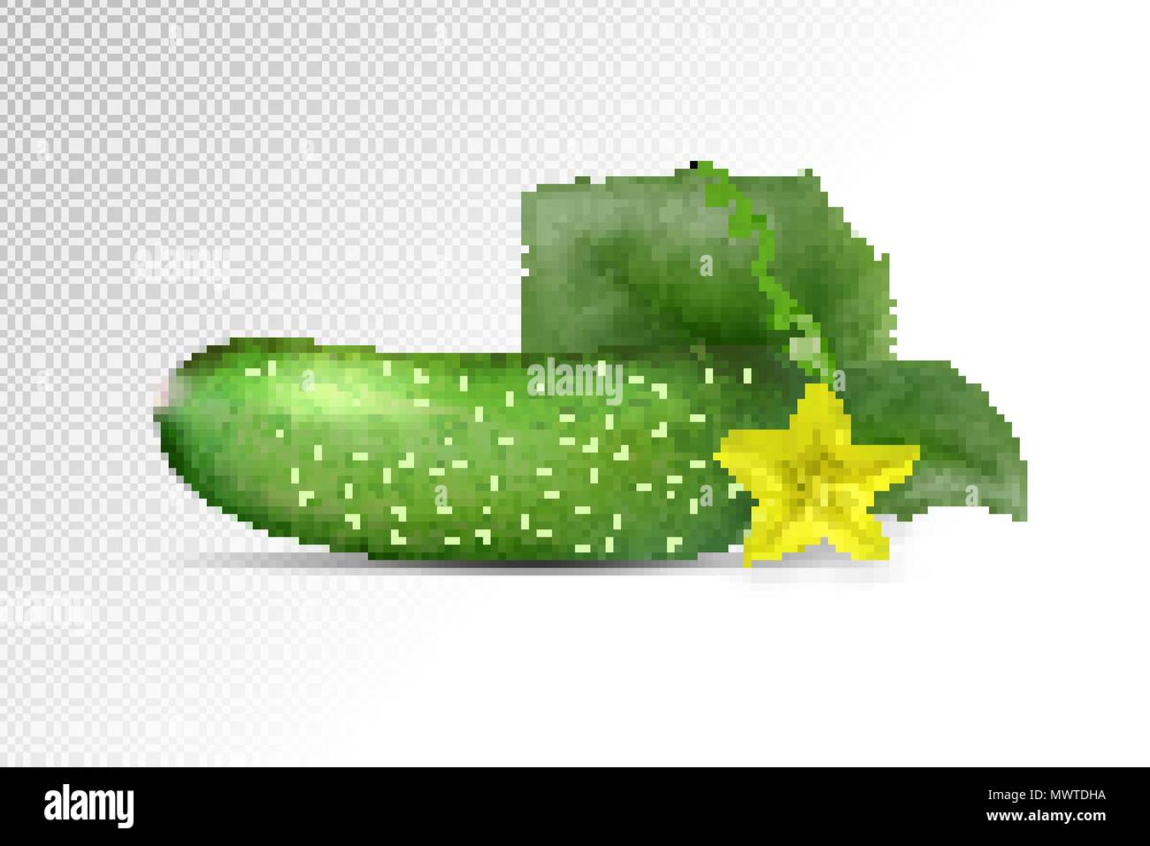 Single cucumber isolated on white background. Vector Stock Vector Image ...