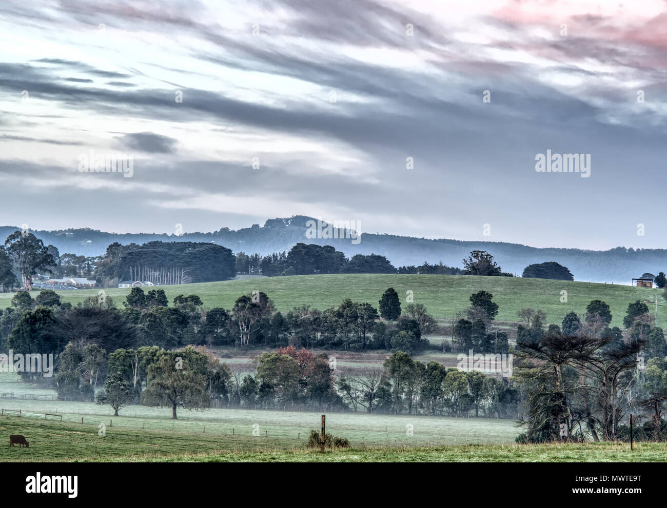 Rural landscape scene in Warragul Victoria Australia Stock Photo - Alamy