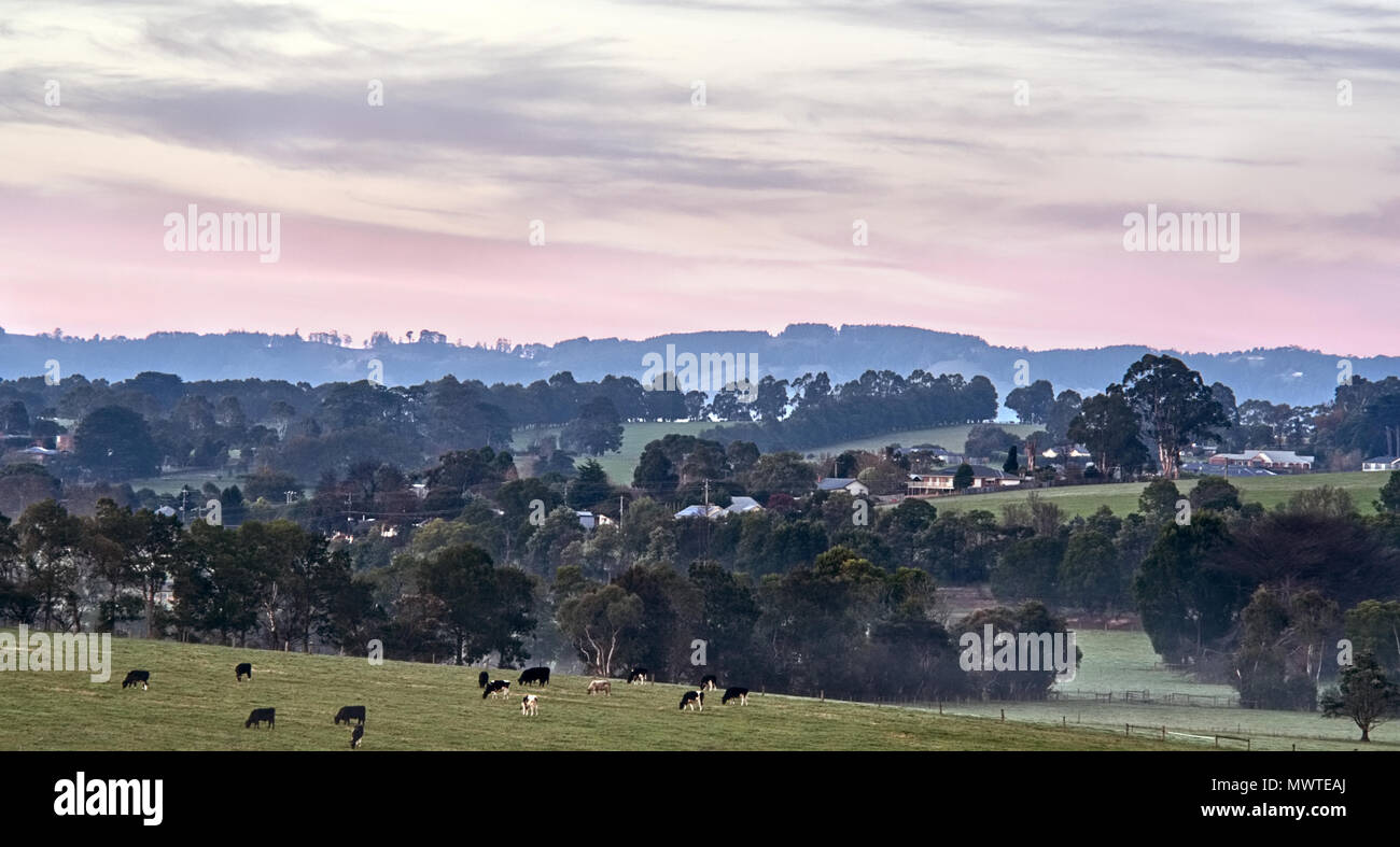 Rural landscape scene in Warragul Victoria Australia Stock Photo - Alamy