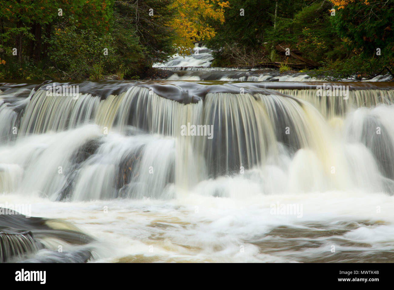 Middle branch hi-res stock photography and images - Alamy
