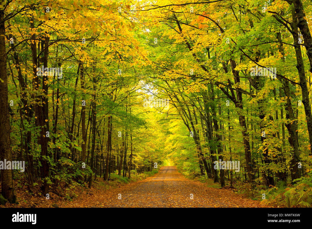 Michigan upper peninsula road hi-res stock photography and images - Alamy