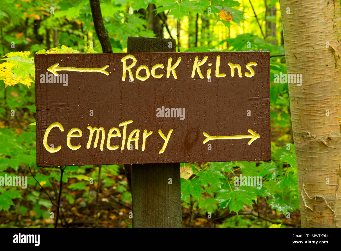 Trail sign, Hiawatha National Forest, Michigan Stock Photo - Alamy