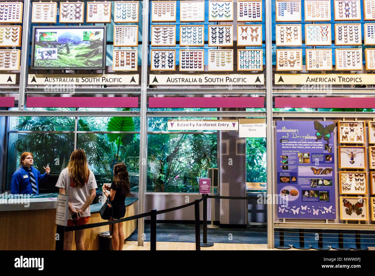 Gainesville Florida,University of Florida campus,UF Cultural Plaza ...
