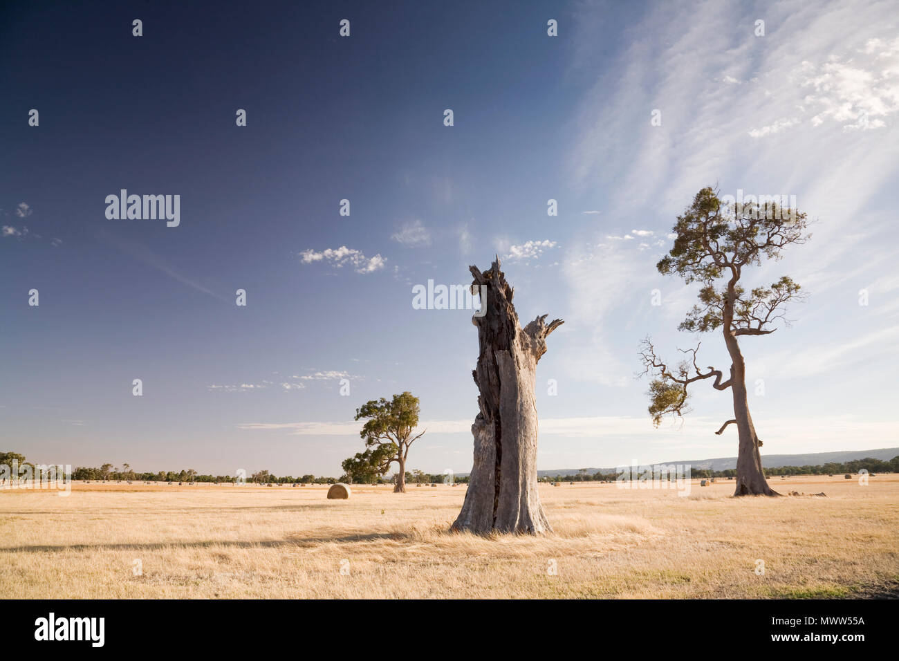 Australia rural field hi-res stock photography and images - Alamy