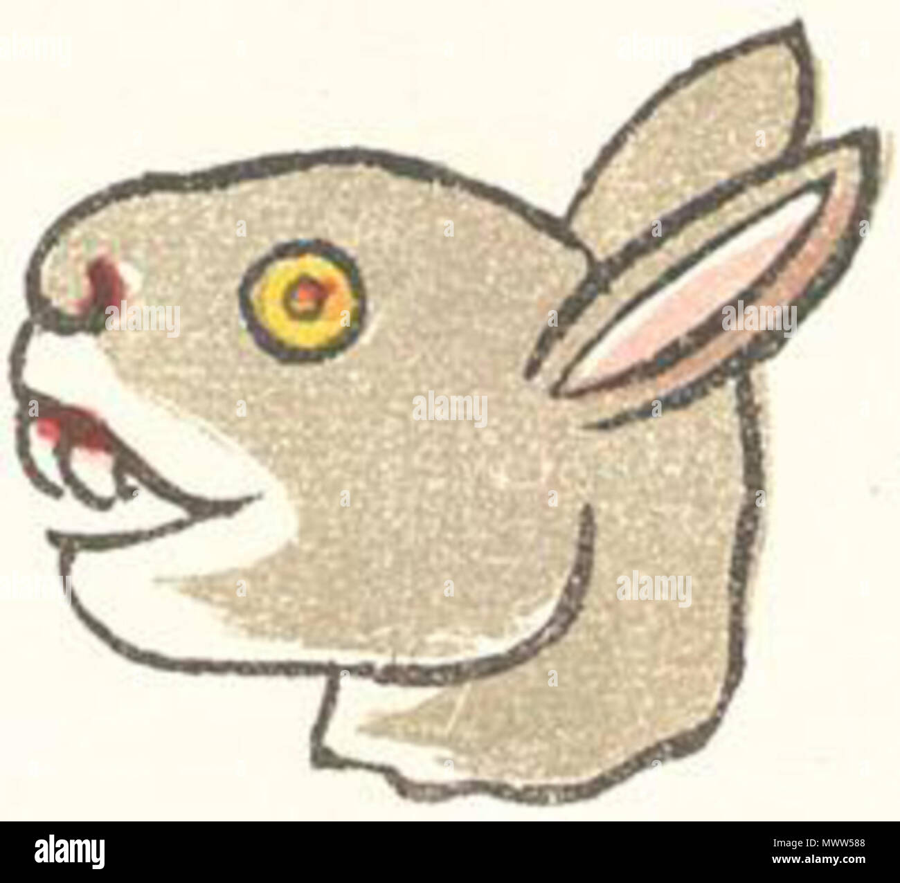 Tochtli hi-res stock photography and images - Alamy