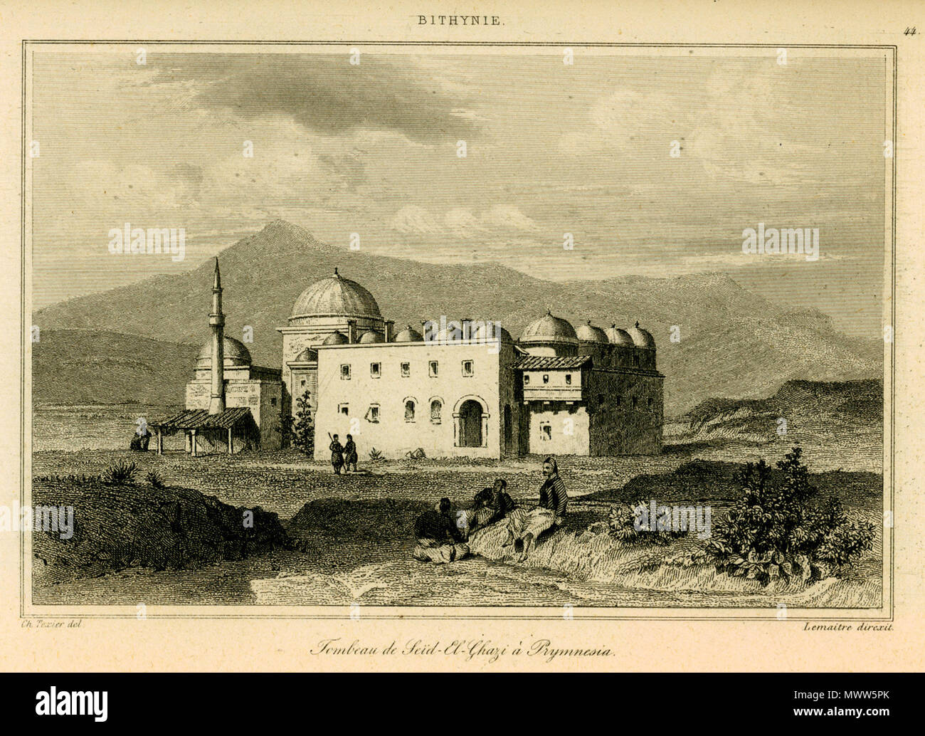 Seid hi-res stock photography and images - Alamy