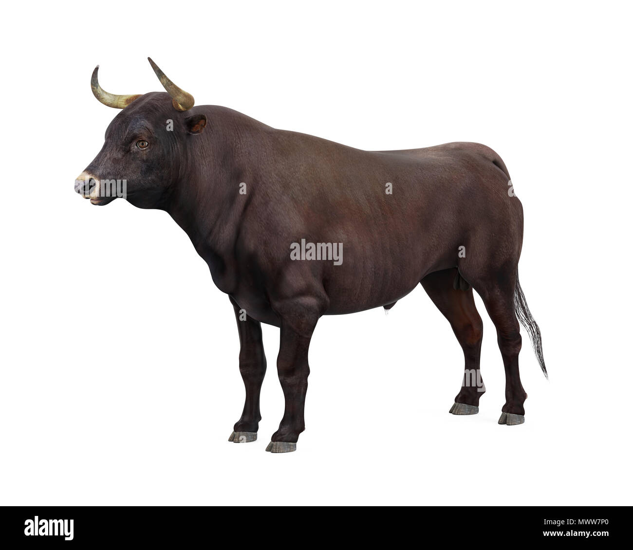 Bullfighter rodeo bull hi-res stock photography and images - Alamy