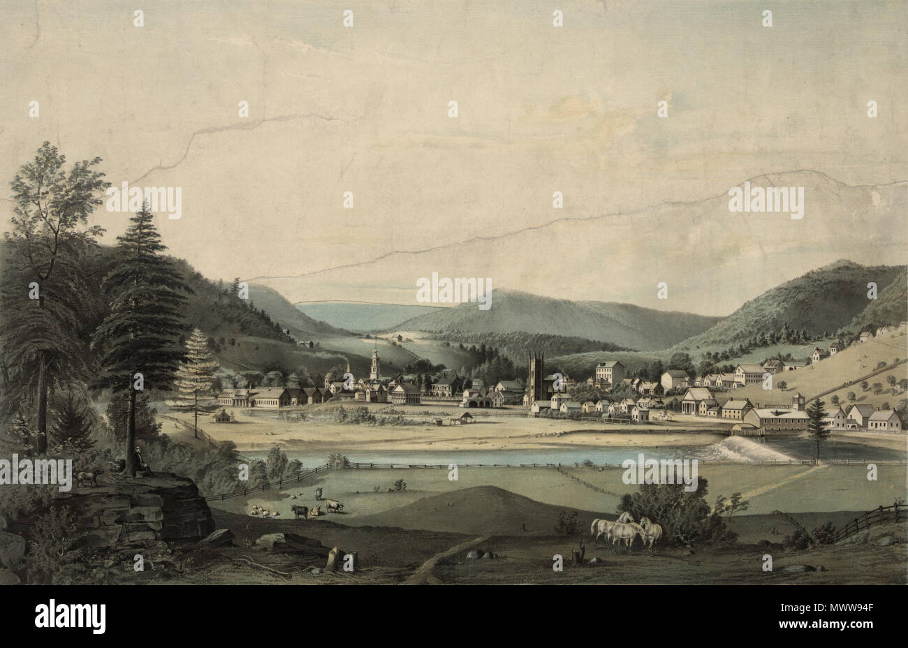 English hemlock hi-res stock photography and images - Alamy