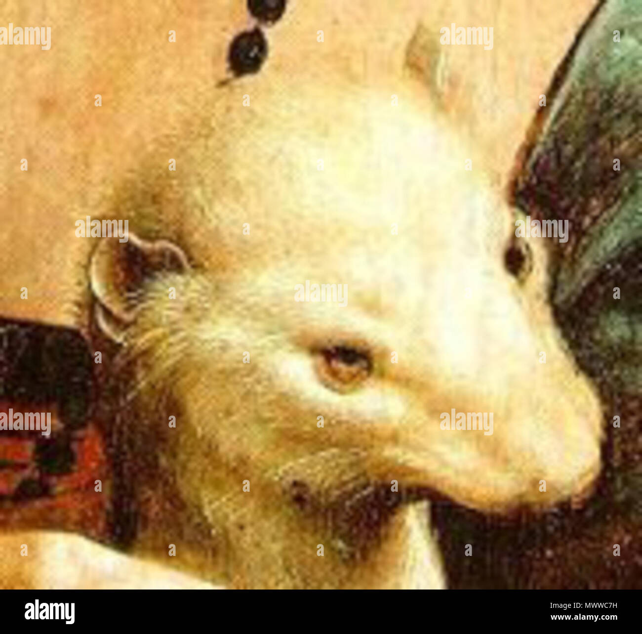 . Lady with an Ermine (c. 1483 - 1490) is a painting by Leonardo da ...