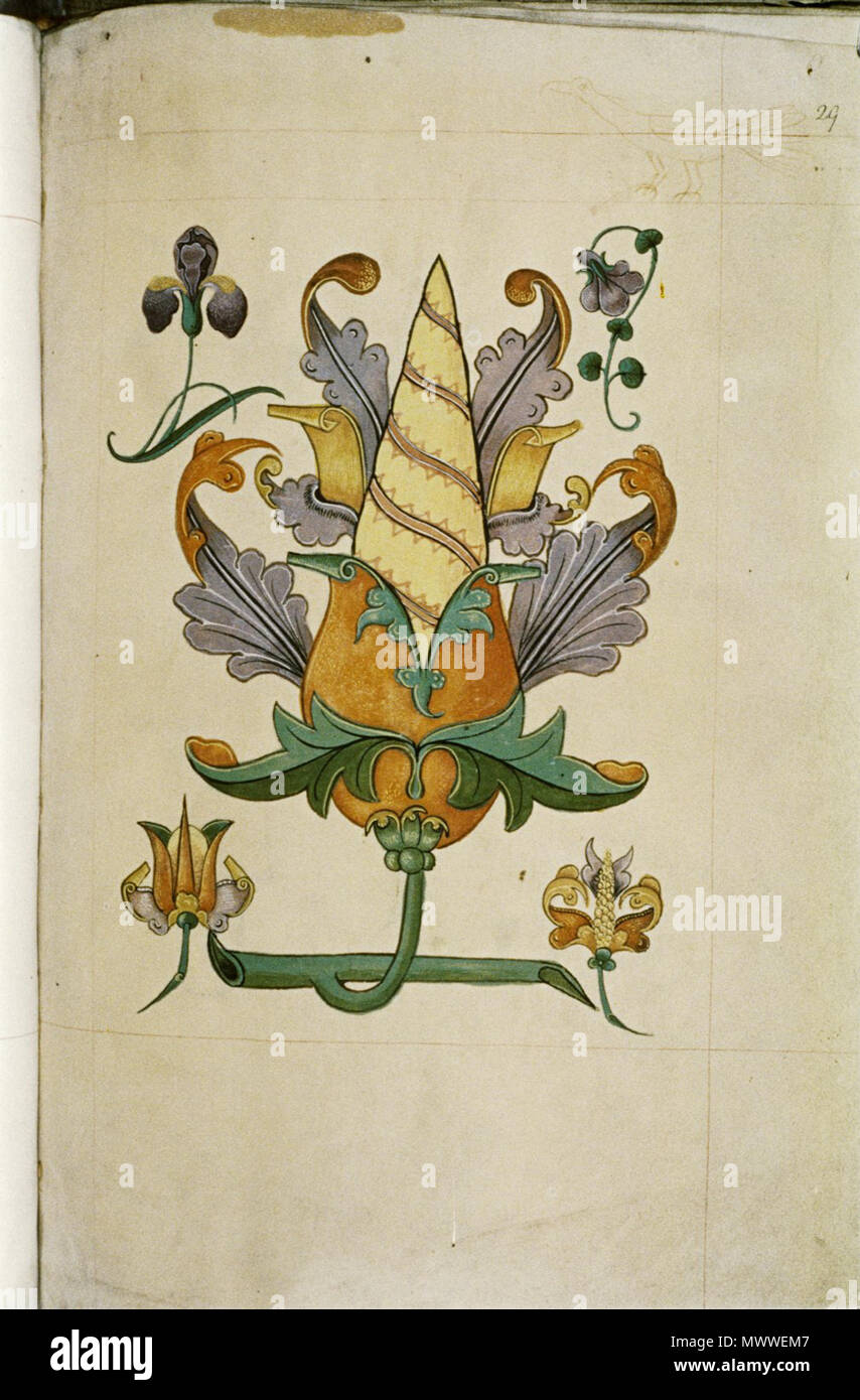 . The Tudor Pattern Book. Bodleian Library, MS. Ashmole 1504 . between ...