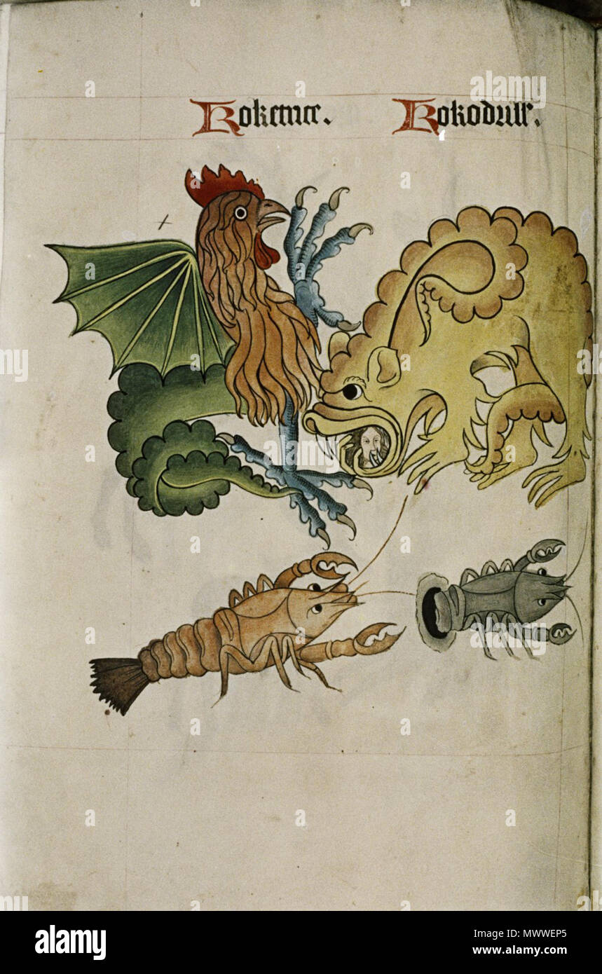 . The Tudor Pattern Book. Bodleian Library, MS. Ashmole 1504 . between ...