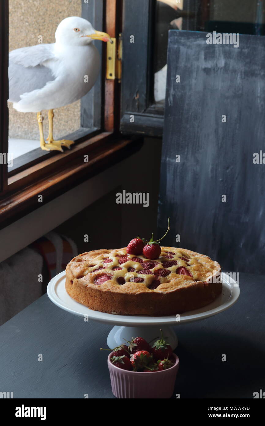 homemade strawberry cake and seagull Stock Photo - Alamy