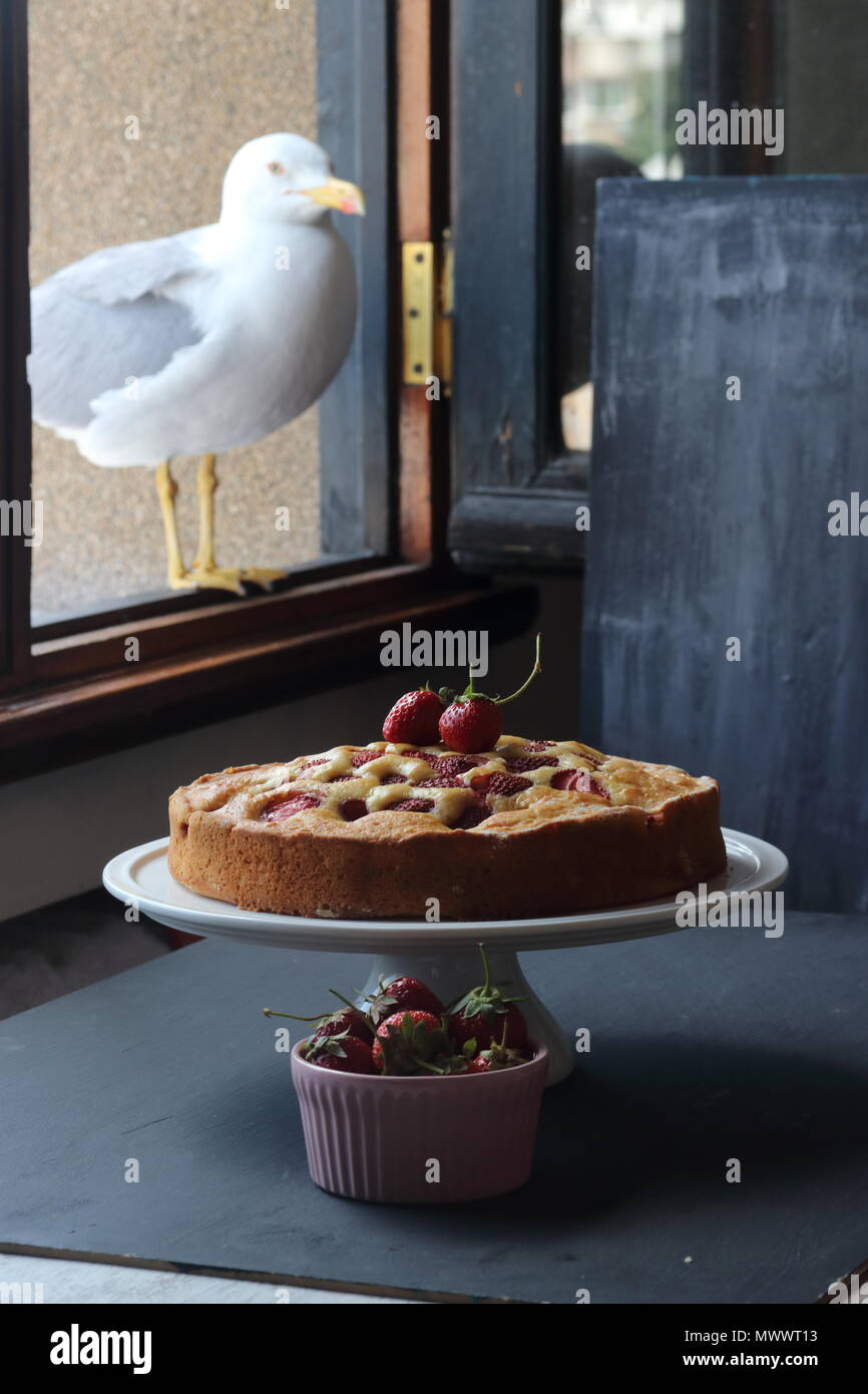 homemade strawberry cake and seagull Stock Photo - Alamy