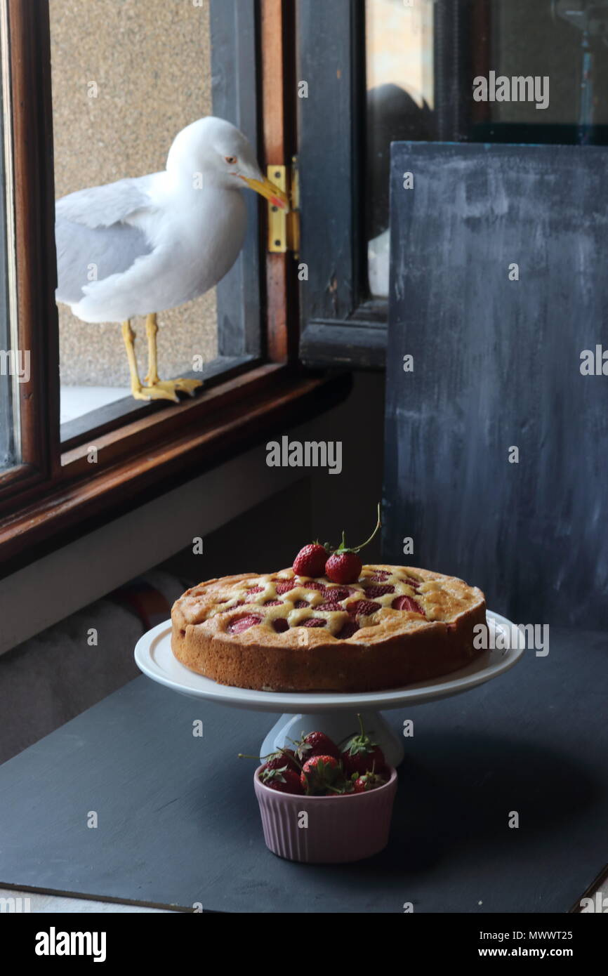 homemade strawberry cake and seagull Stock Photo - Alamy