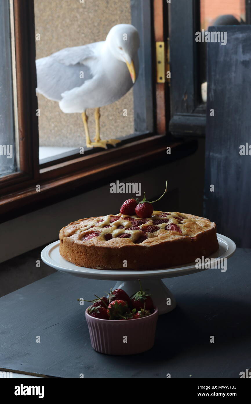 homemade strawberry cake and seagull Stock Photo - Alamy