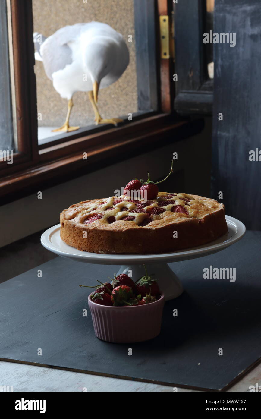 homemade strawberry cake and seagull Stock Photo - Alamy