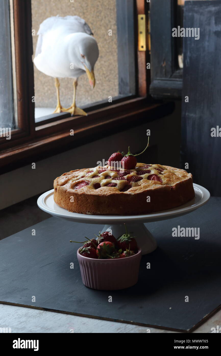homemade strawberry cake and seagull Stock Photo - Alamy