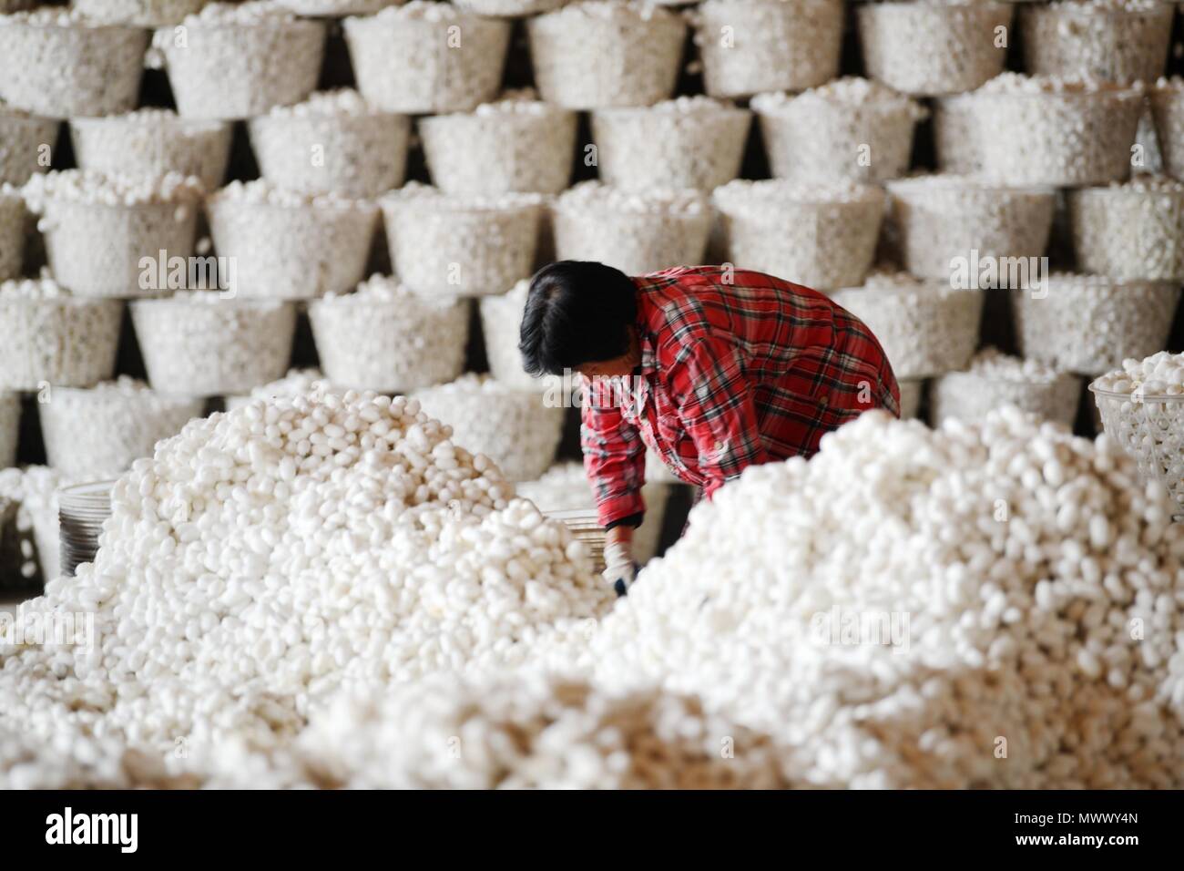 Nantong, China's Jiangsu Province. 2nd June, 2018. A staff member works ...
