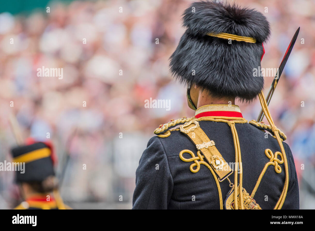 London, UK. 2nd June 2018. Colonel's Review 2018, the last formal ...