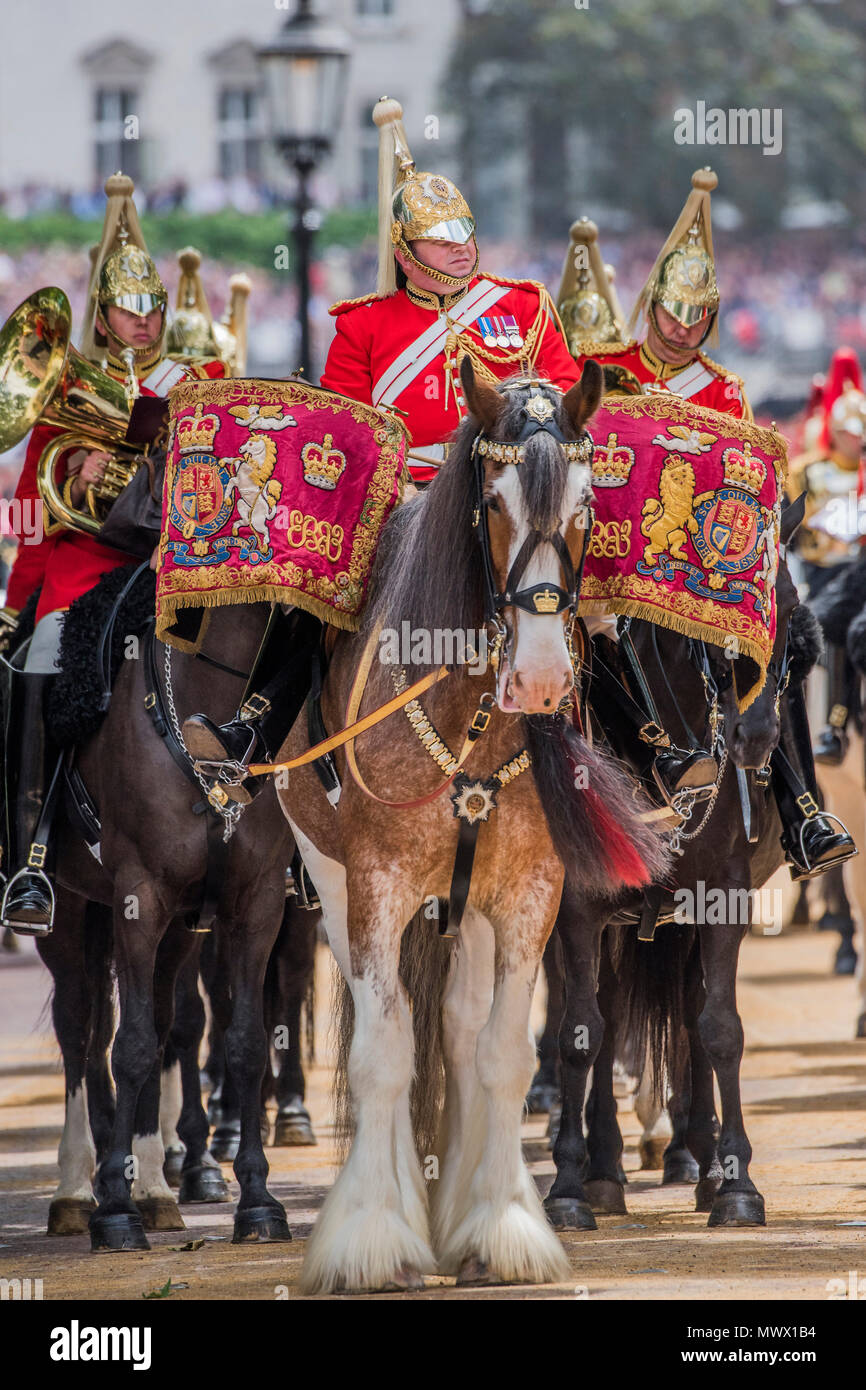 Lieutenant general sir james bucknall hi-res stock photography and ...