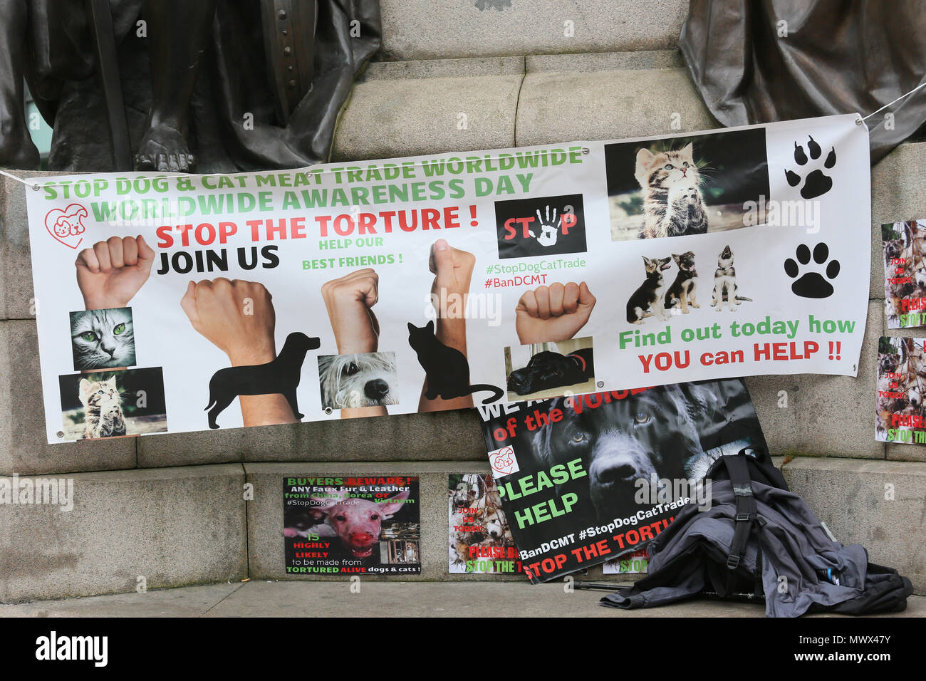 Dog meat trade cruelty hi-res stock photography and images - Alamy