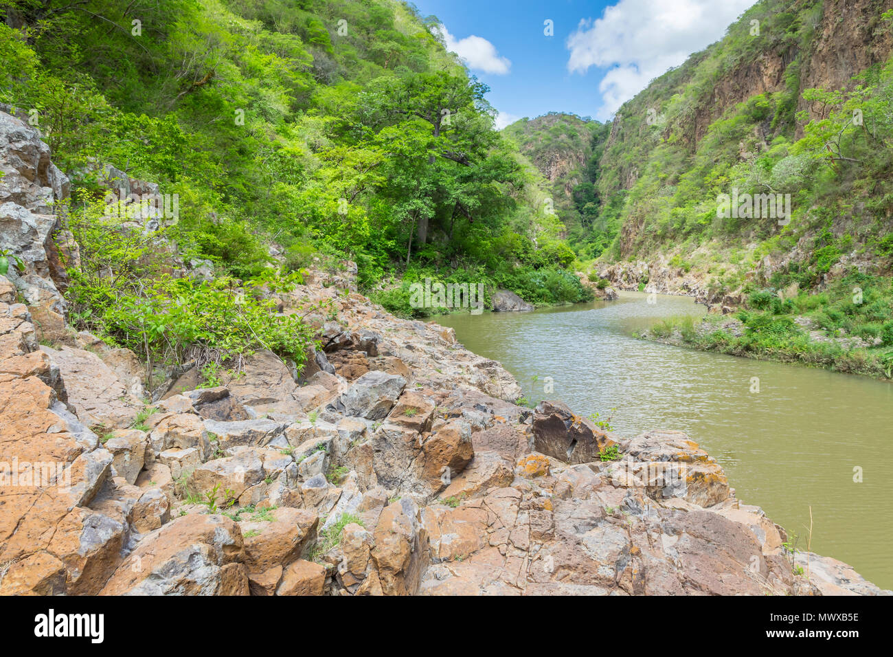 Coco River inside the Somoto Canyon, Nicaragua, Central America Stock ...