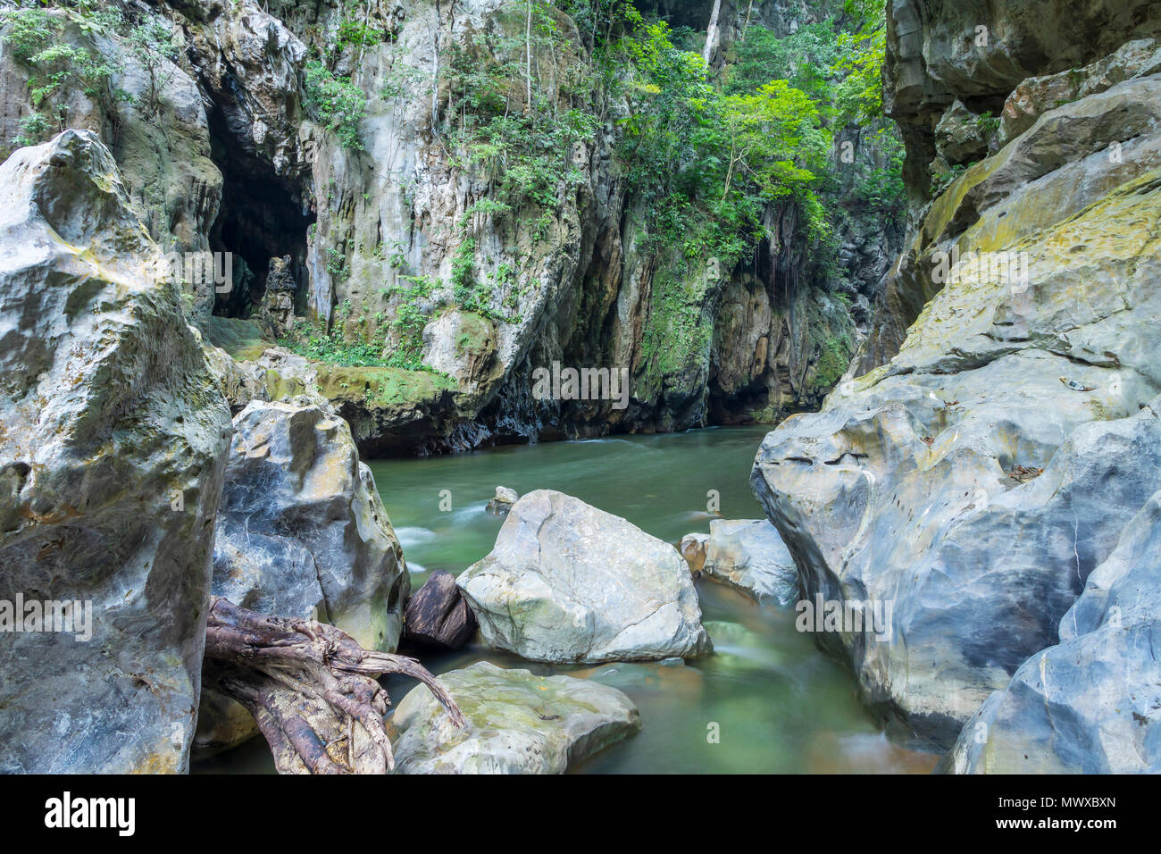 El boqueron hi-res stock photography and images - Alamy