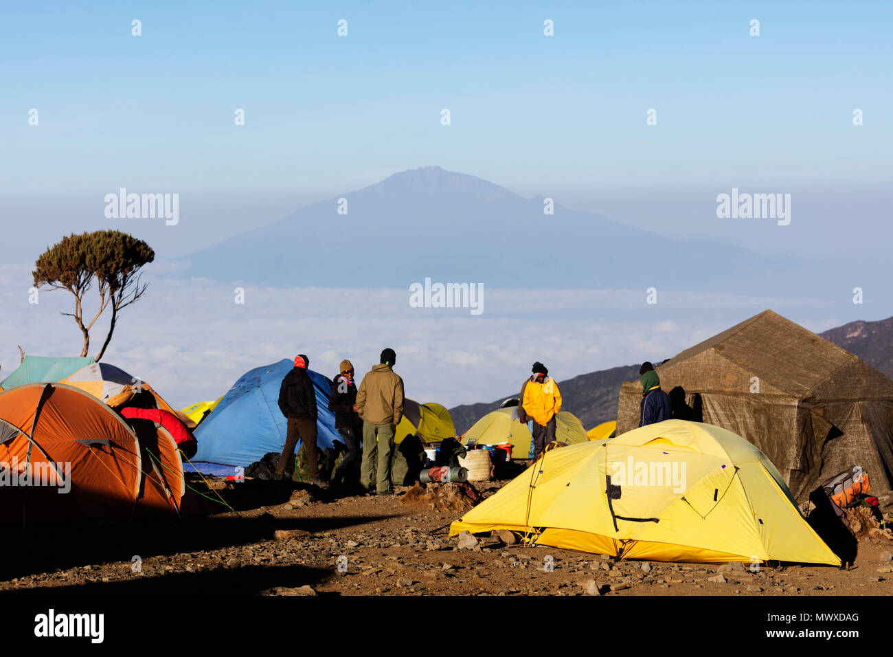 Tents at Umbwe camp with view of Mount Meru, 4565m, Kilimanjaro ...