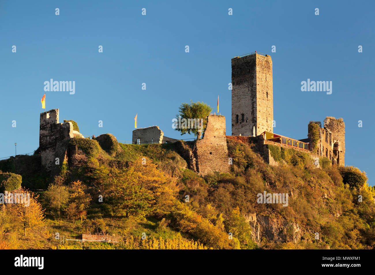 Metternich castle hi-res stock photography and images - Alamy
